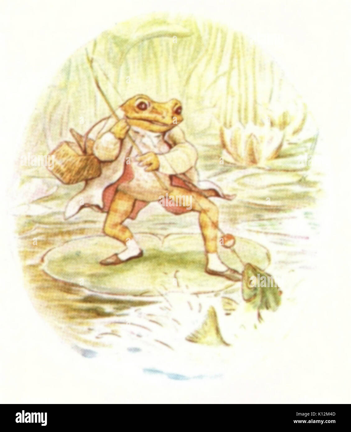 Jeremy fisher hi-res stock photography and images - Alamy