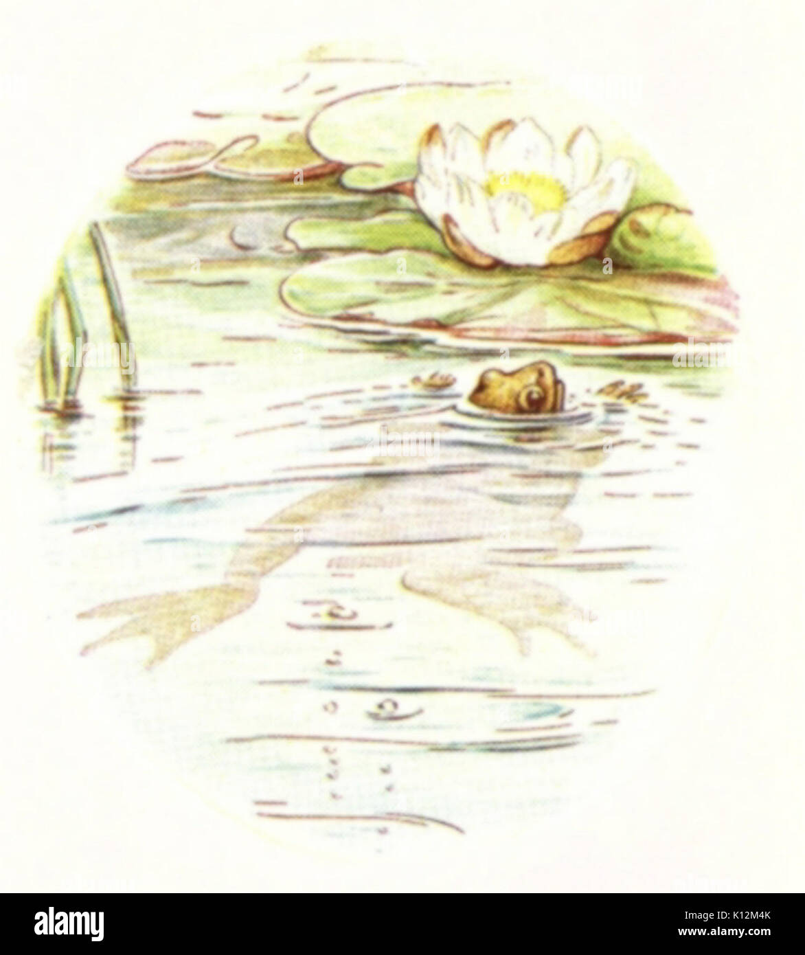 Jeremy fisher hi-res stock photography and images - Alamy