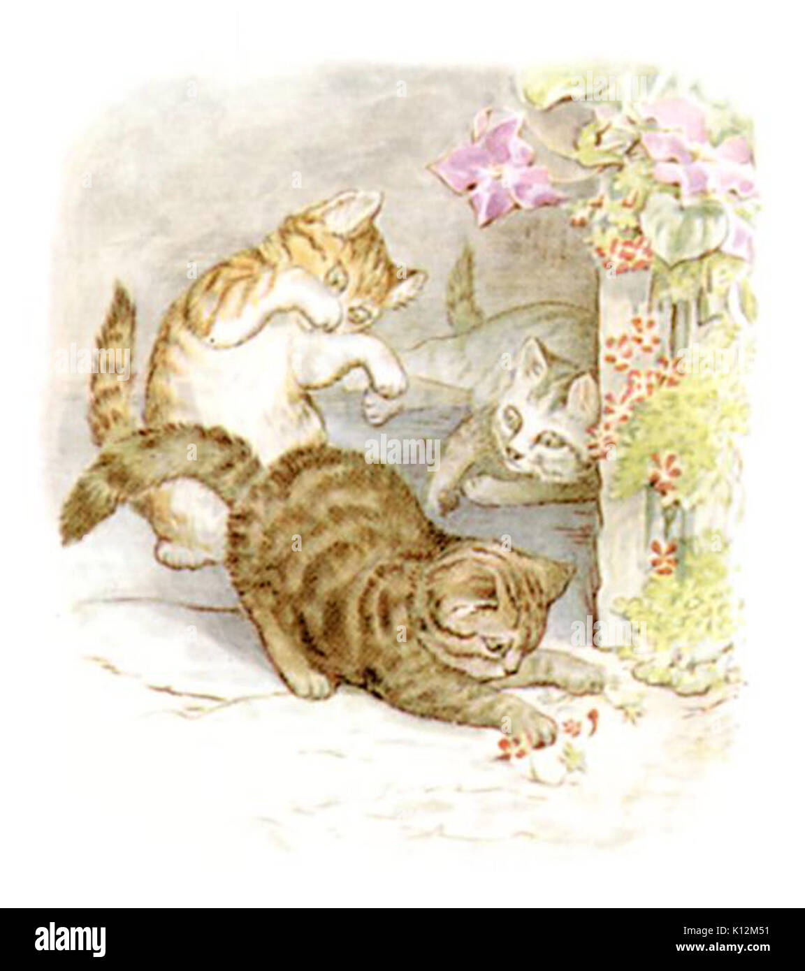 Beatrix Potter The Tale of Tom Kitten Illustration from p 8 Stock Photo ...