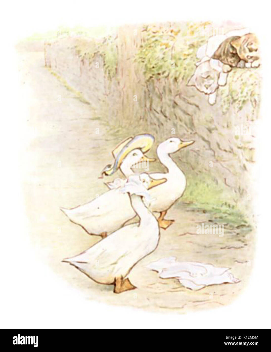 Beatrix Potter The Tale of Tom Kitten Illustration from p 50 Stock ...
