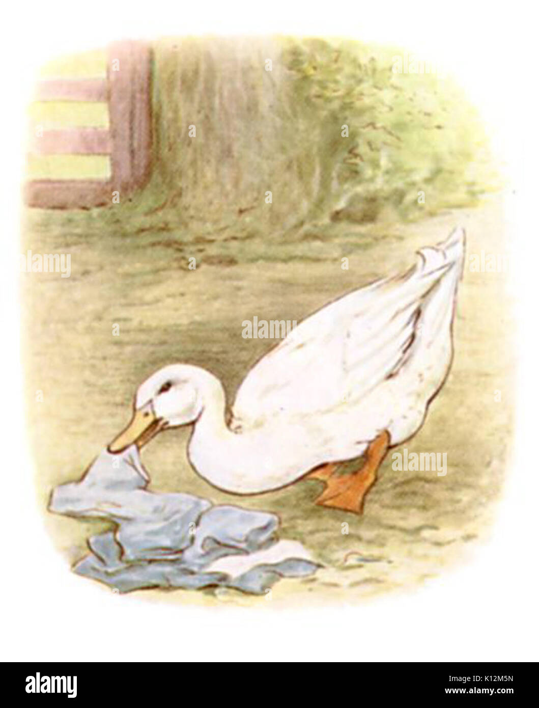 Beatrix potter illustration Cut Out Stock Images & Pictures - Alamy