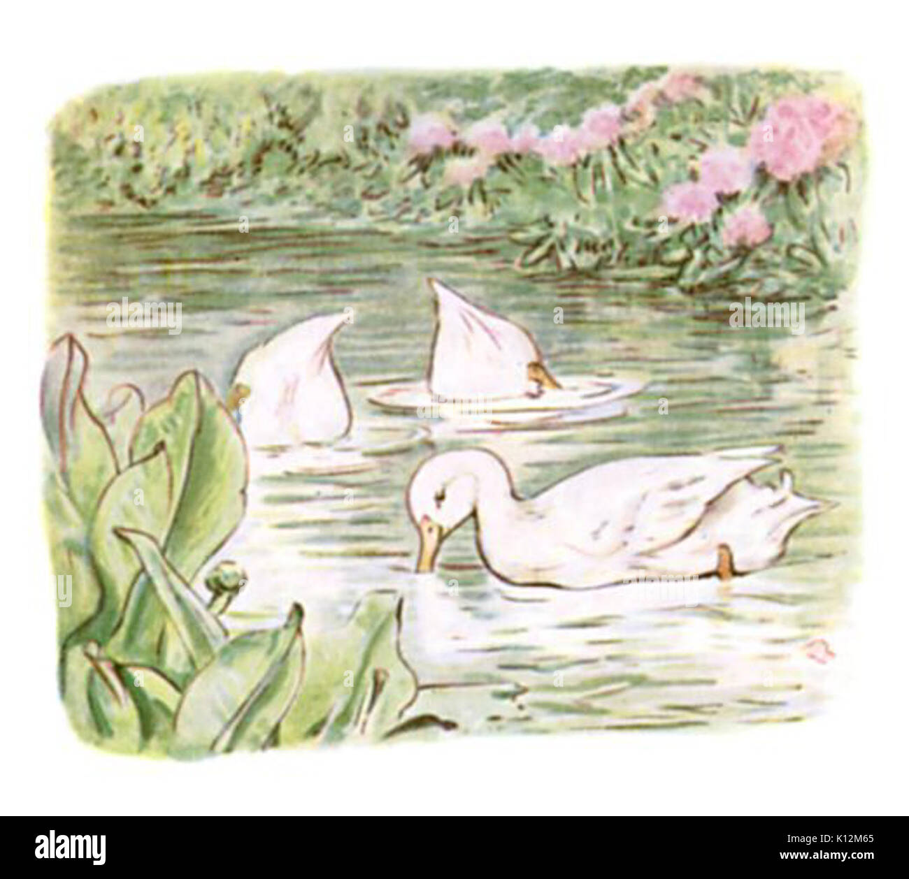 Beatrix Potter The Tale of Tom Kitten Illustration from p 84 Stock ...