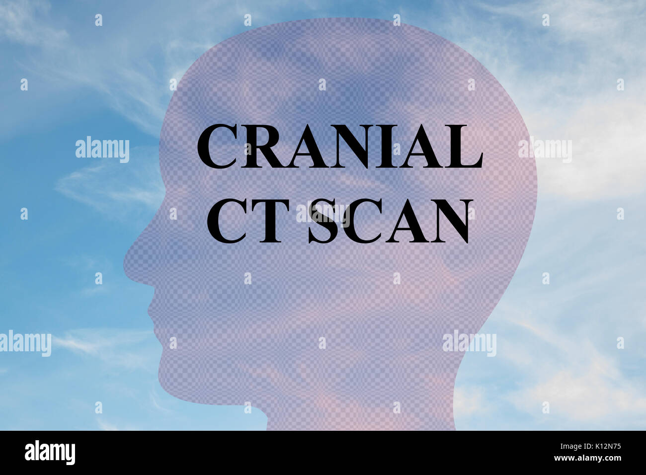 Render illustration of "CRANIAL CT SCAN" title on head silhouette, with ...