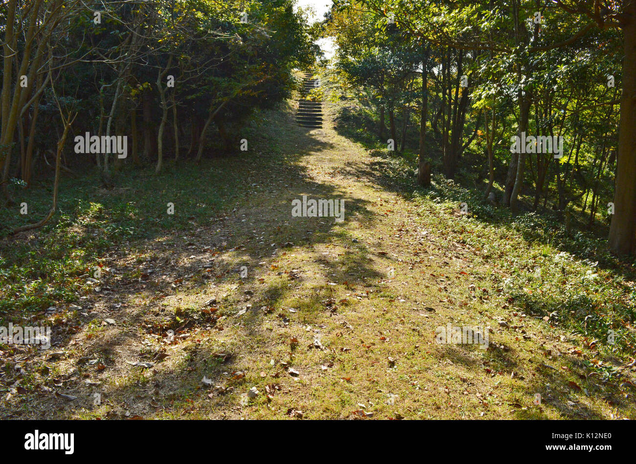 Prehistoric kofun period hi-res stock photography and images - Alamy