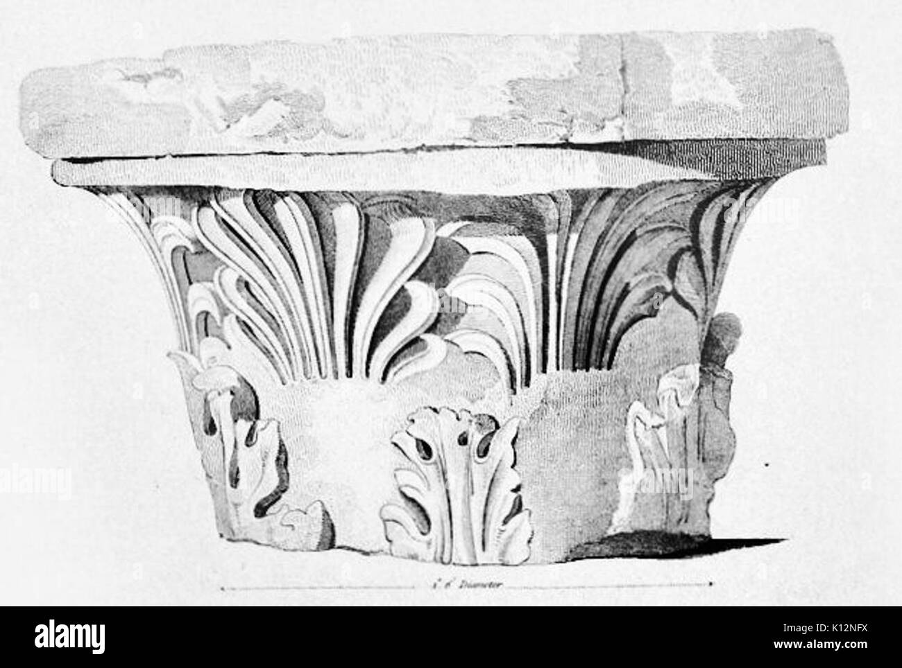 Anta capital Apollo of the Branchidae Miletus Stock Photo - Alamy