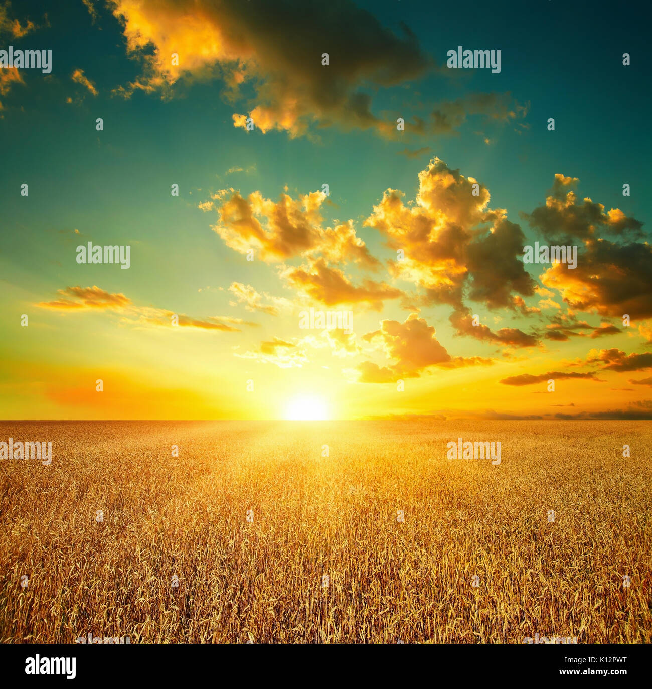 Summer nature and landscapes hi-res stock photography and images - Alamy