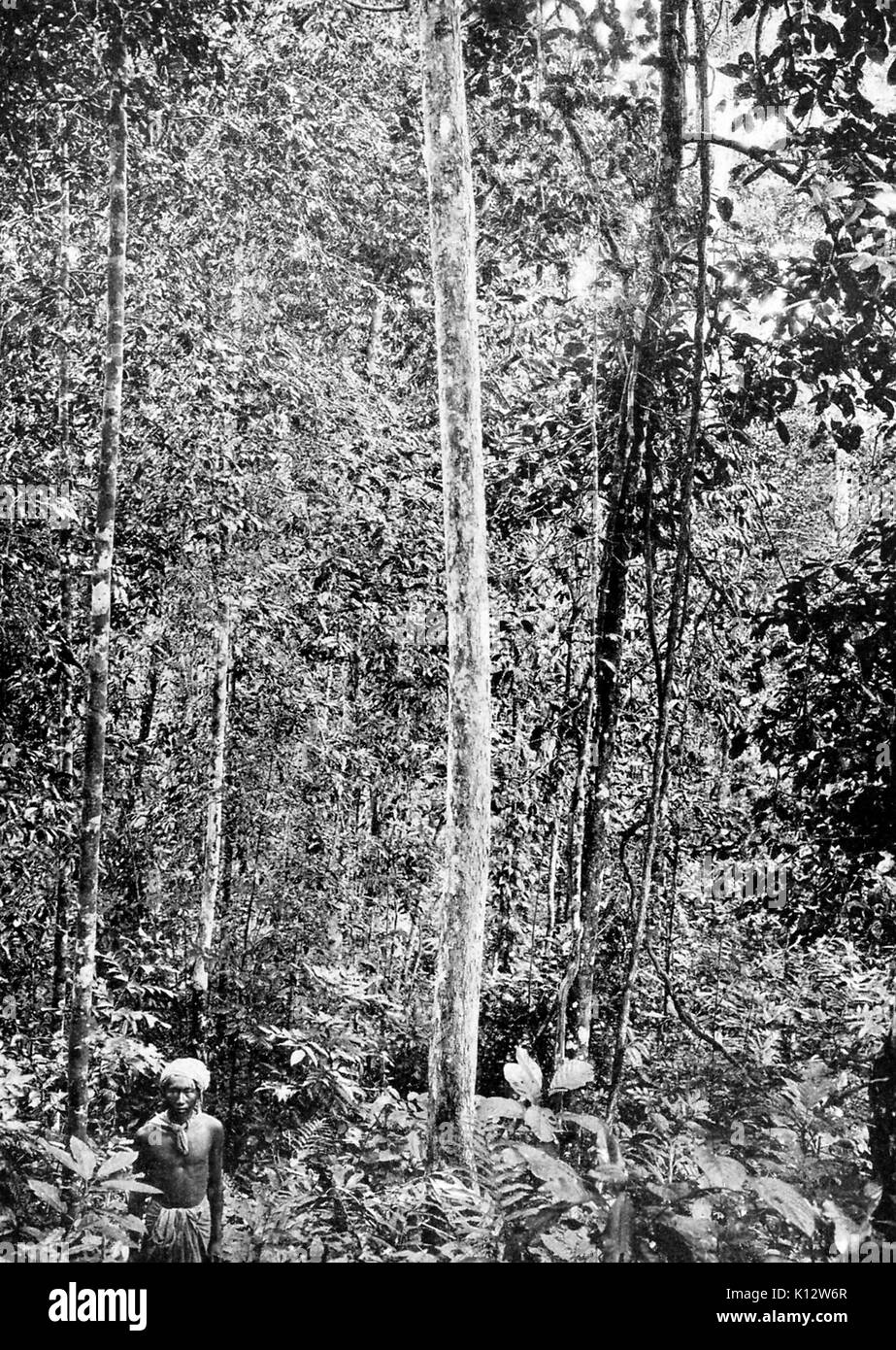 Indigenous village Black and White Stock Photos & Images - Alamy