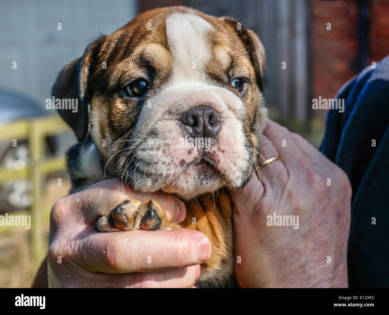 Old mans hands hi-res stock photography and images - Alamy