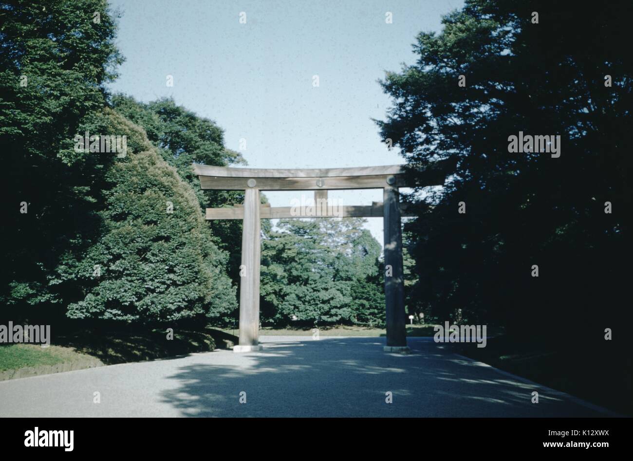 Large wooden gateway arch over a road through a forest, 1952 Stock ...