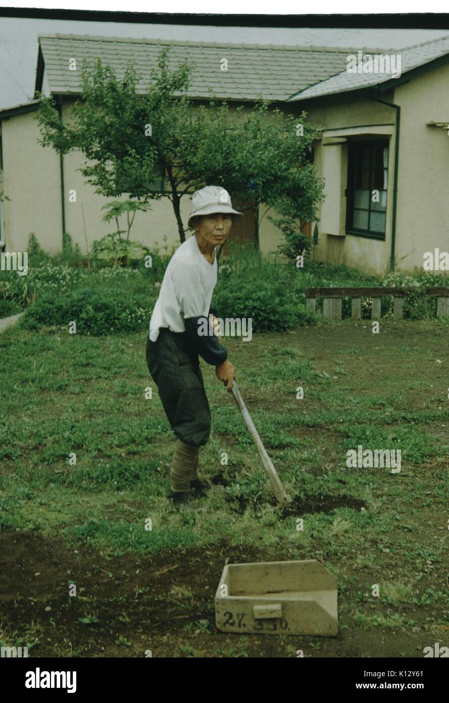Japanese laborer using an axe to prepare ground on a lawn outside of a ...
