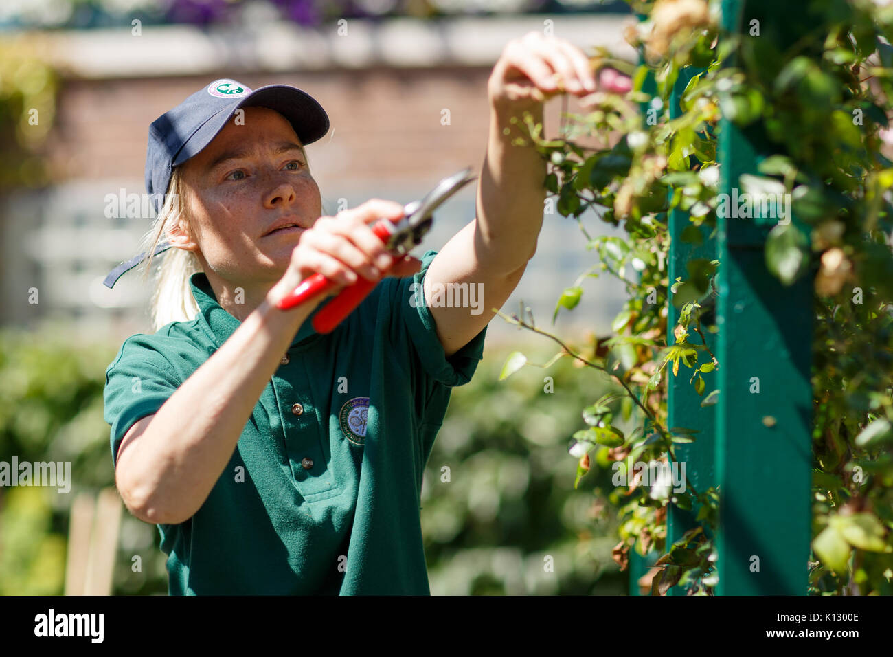 Gardening staff at work at the Wimbledon Championships 2017 Stock Photo ...
