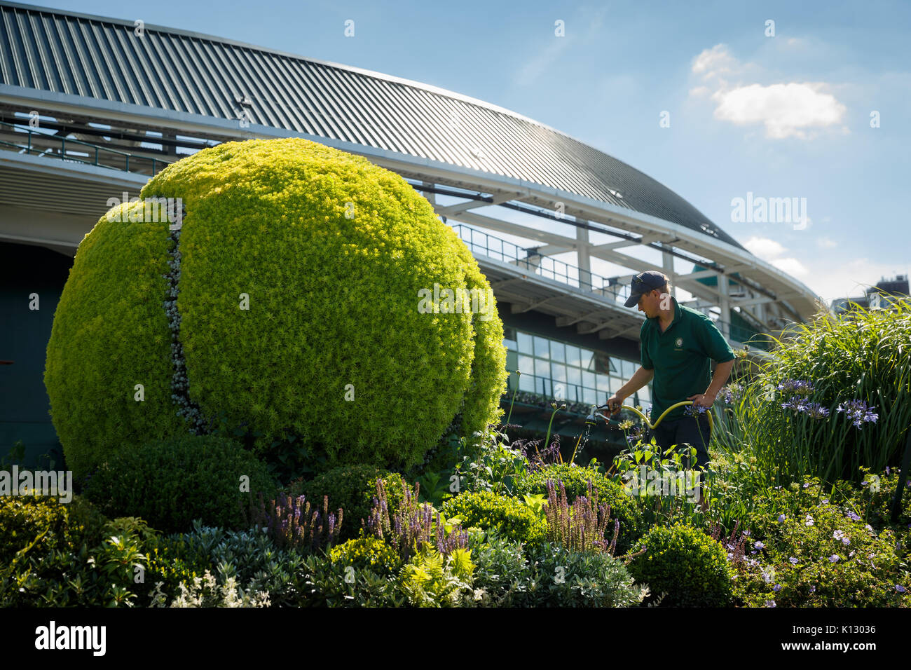 A man waters a giant tennis ball shaped bush by Court 1 at the ...