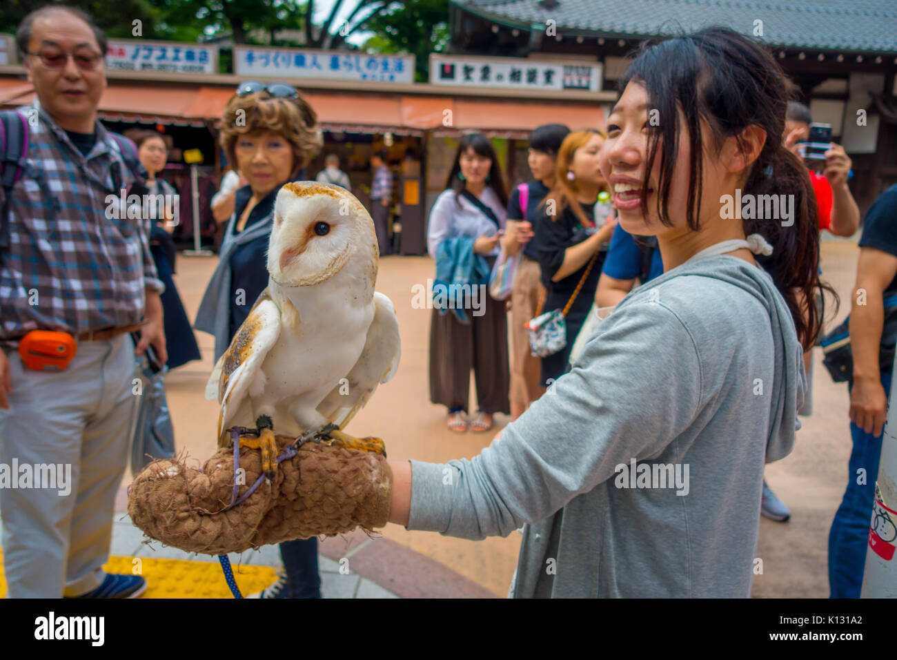 TOKYO, JAPAN JUNE 28 - 2017: Beautiful owl posing over a woman wrist in ...