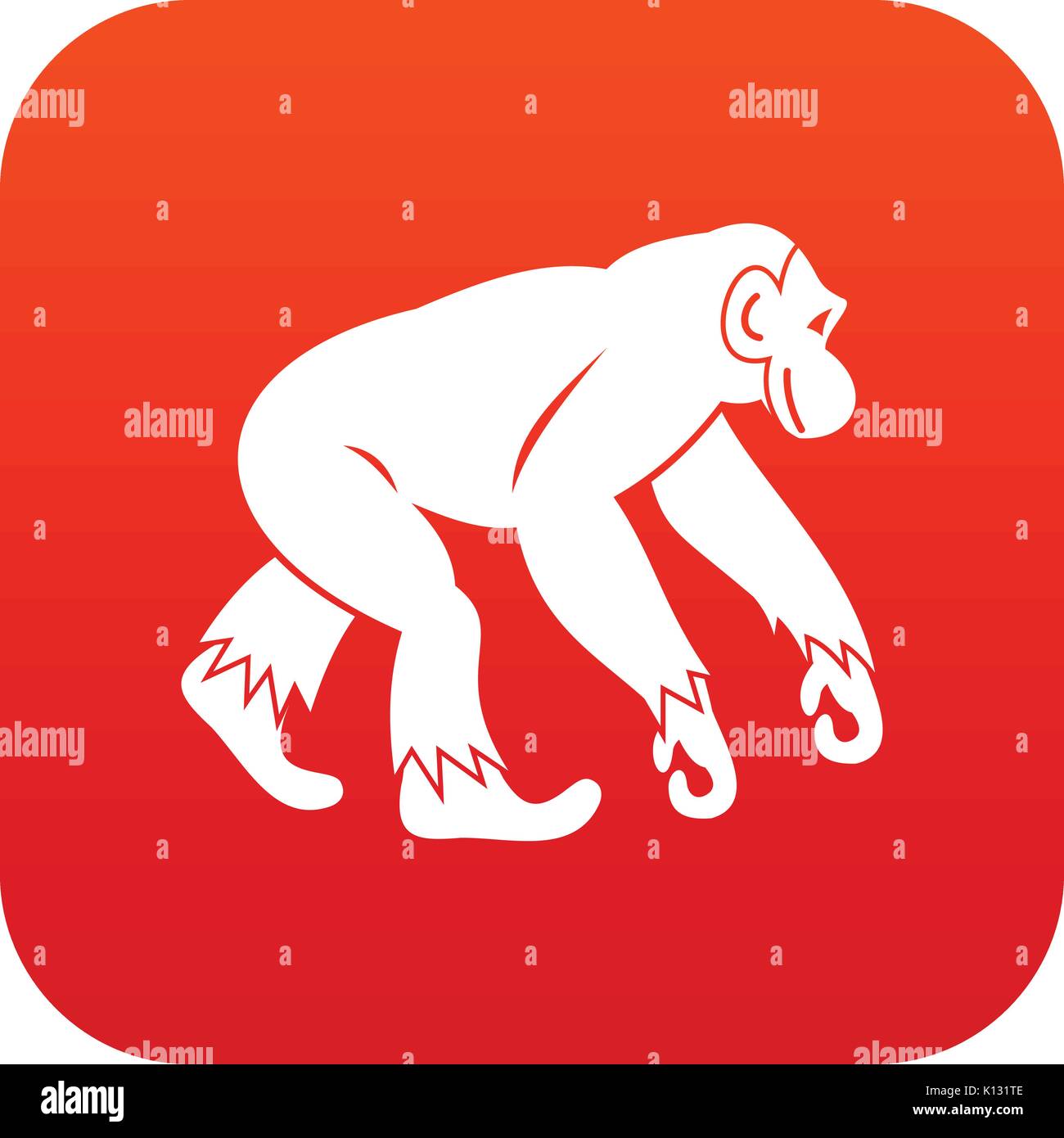 Red tail monkey Stock Vector Images - Alamy