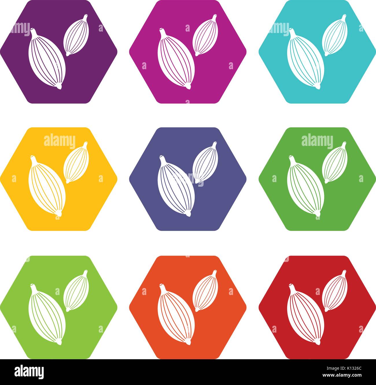 Cardamom pods icon set color hexahedron Stock Vector Image & Art - Alamy