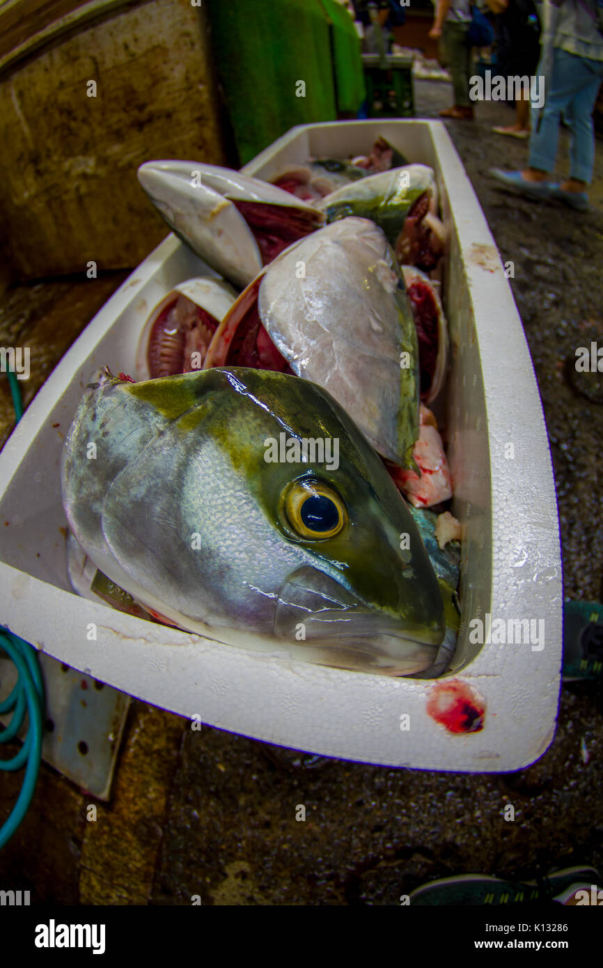 TOKYO, JAPAN JUNE 28 - 2017: Fish inside of a white boxes and seafood ...
