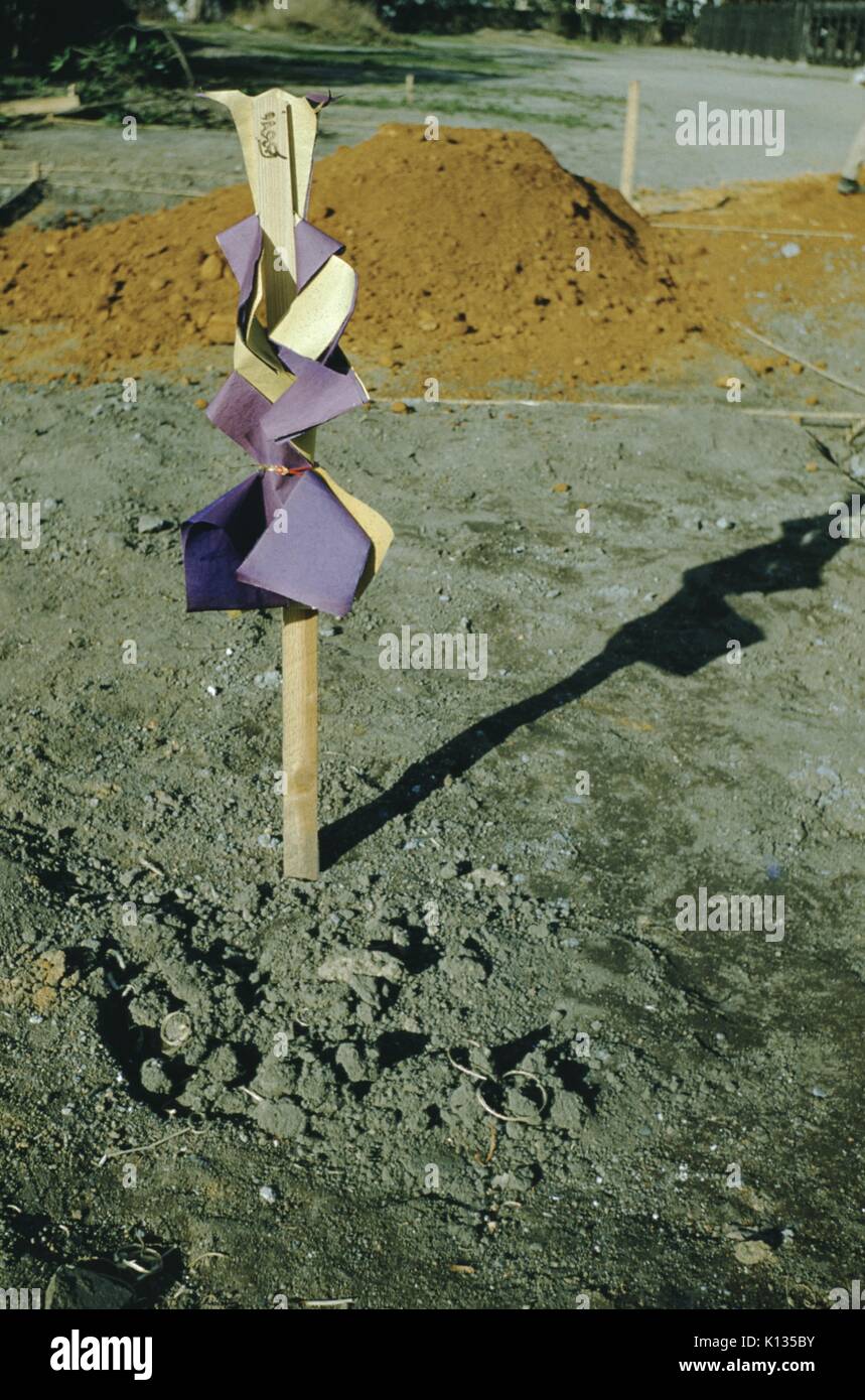 1959 planted hi-res stock photography and images - Alamy