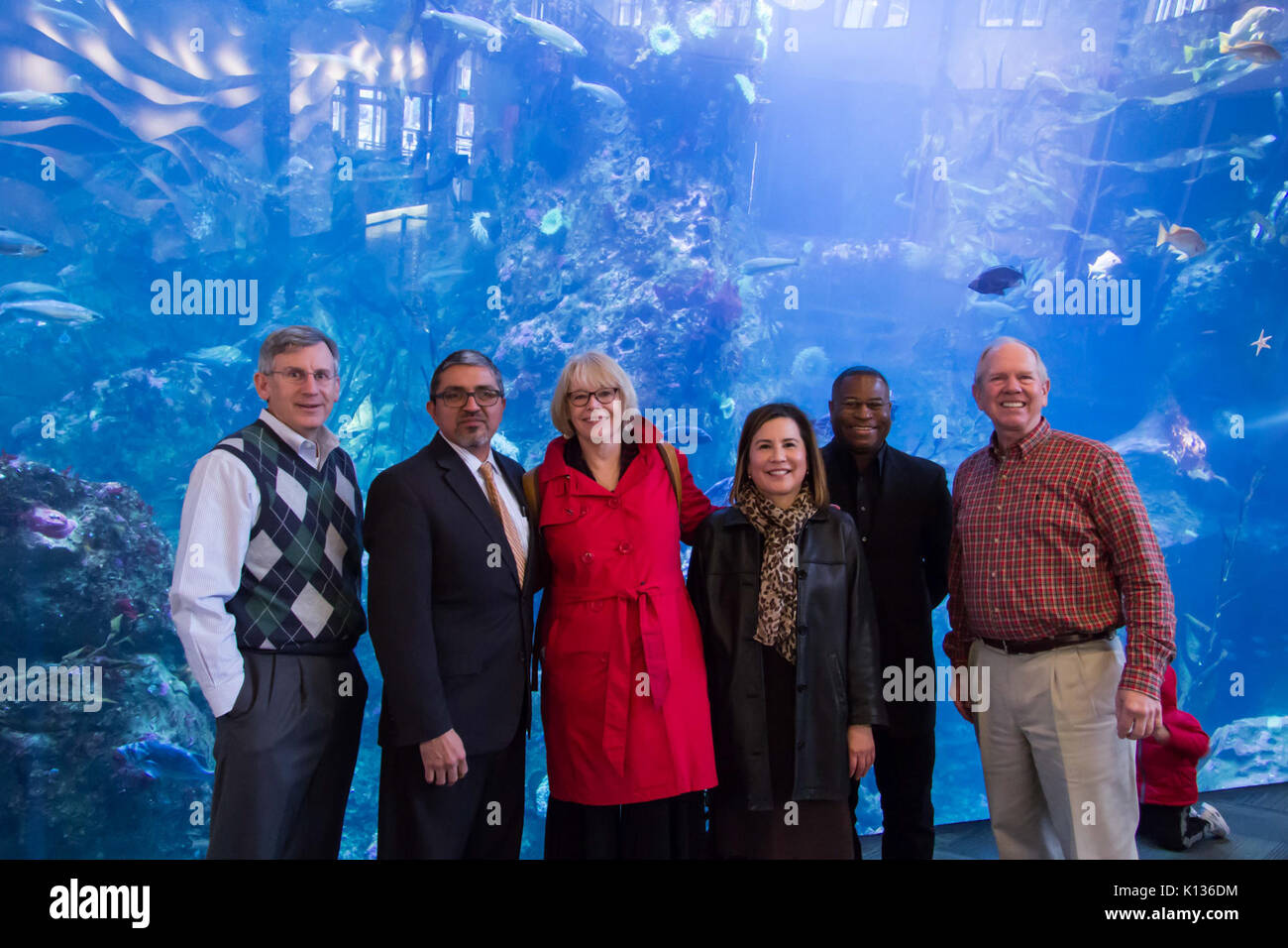 Aquarium Tour (31308179986 Stock Photo - Alamy