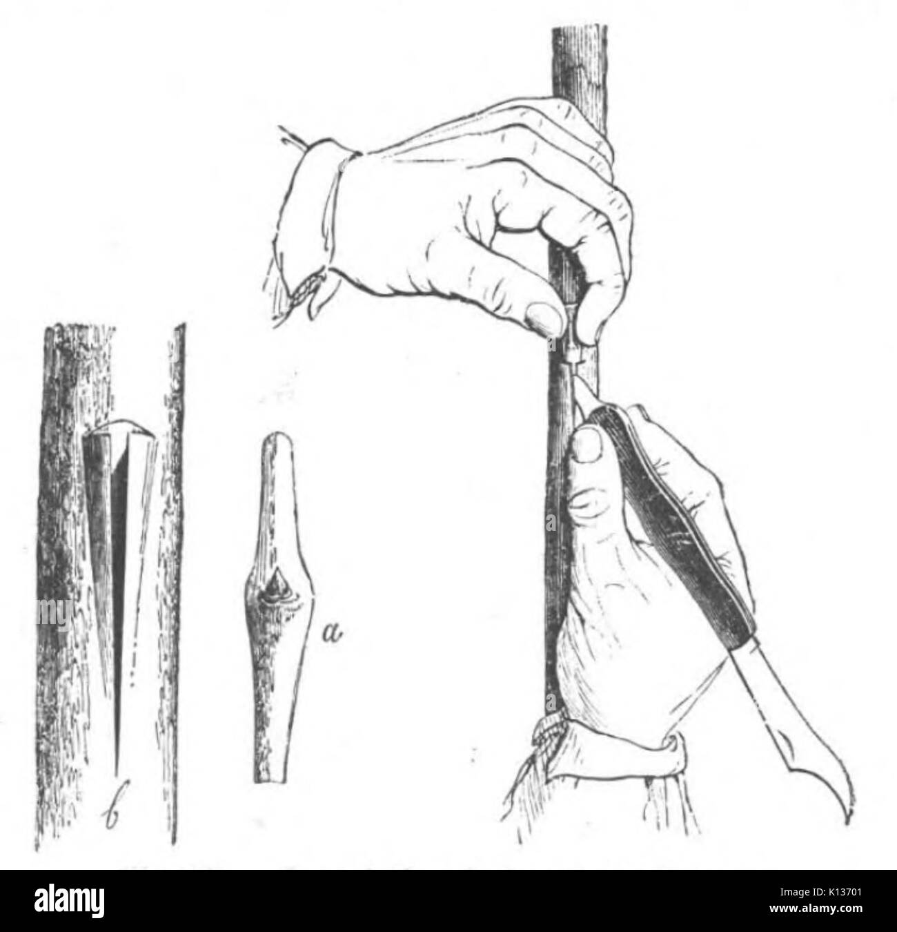 Greffer Cut Out Stock Images & Pictures - Alamy