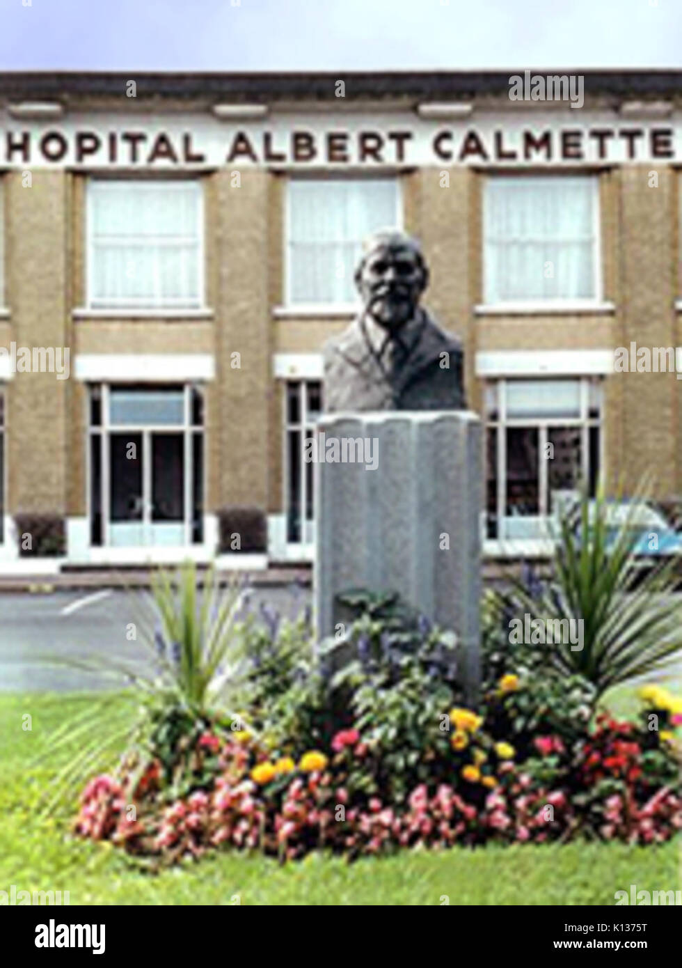 Calmette hi-res stock photography and images - Alamy