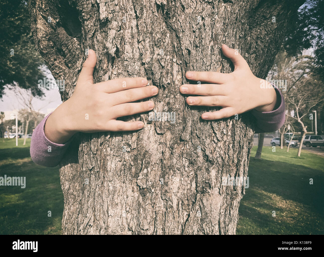 Child hug tree demonstrating environmental awareness education Stock ...