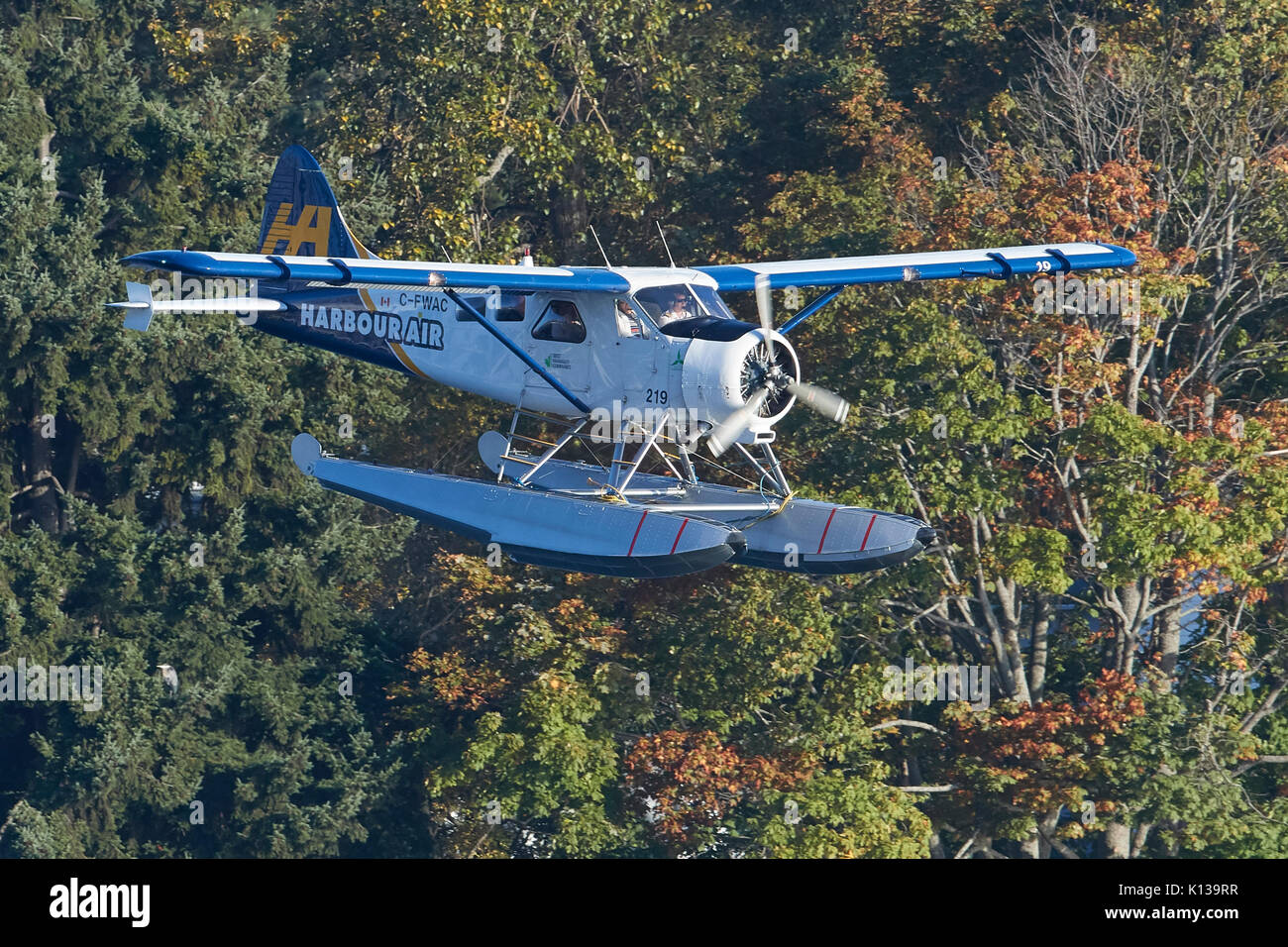 De havilland beaver seaplane hi-res stock photography and images - Alamy