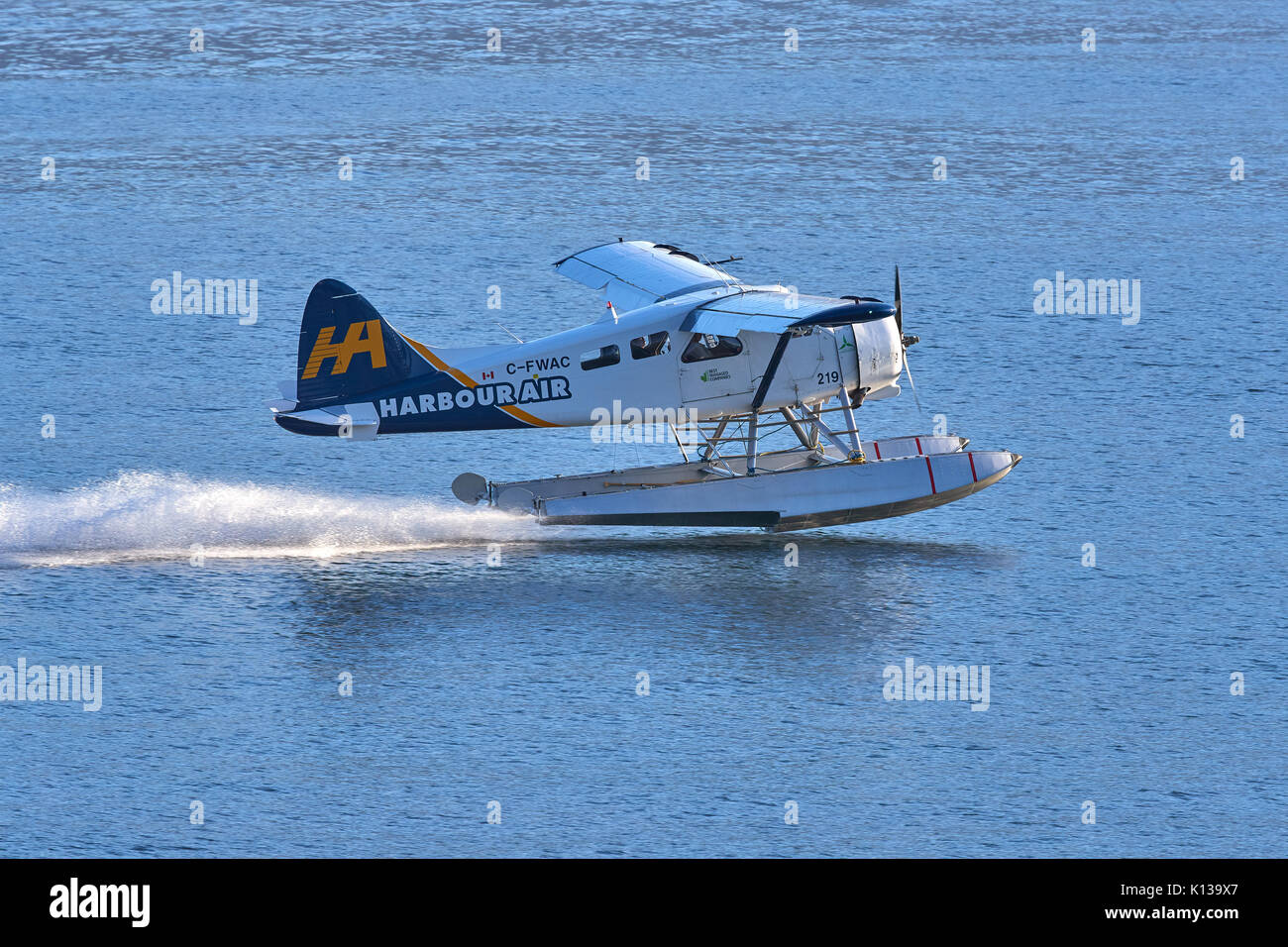 A Vintage de Havilland Canada Beaver Floatplane Landing In Vancouver ...