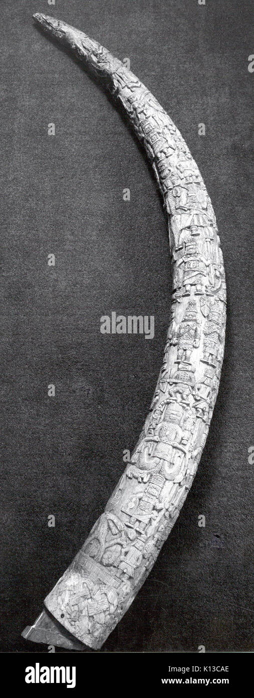 Altar tusk hi-res stock photography and images - Alamy