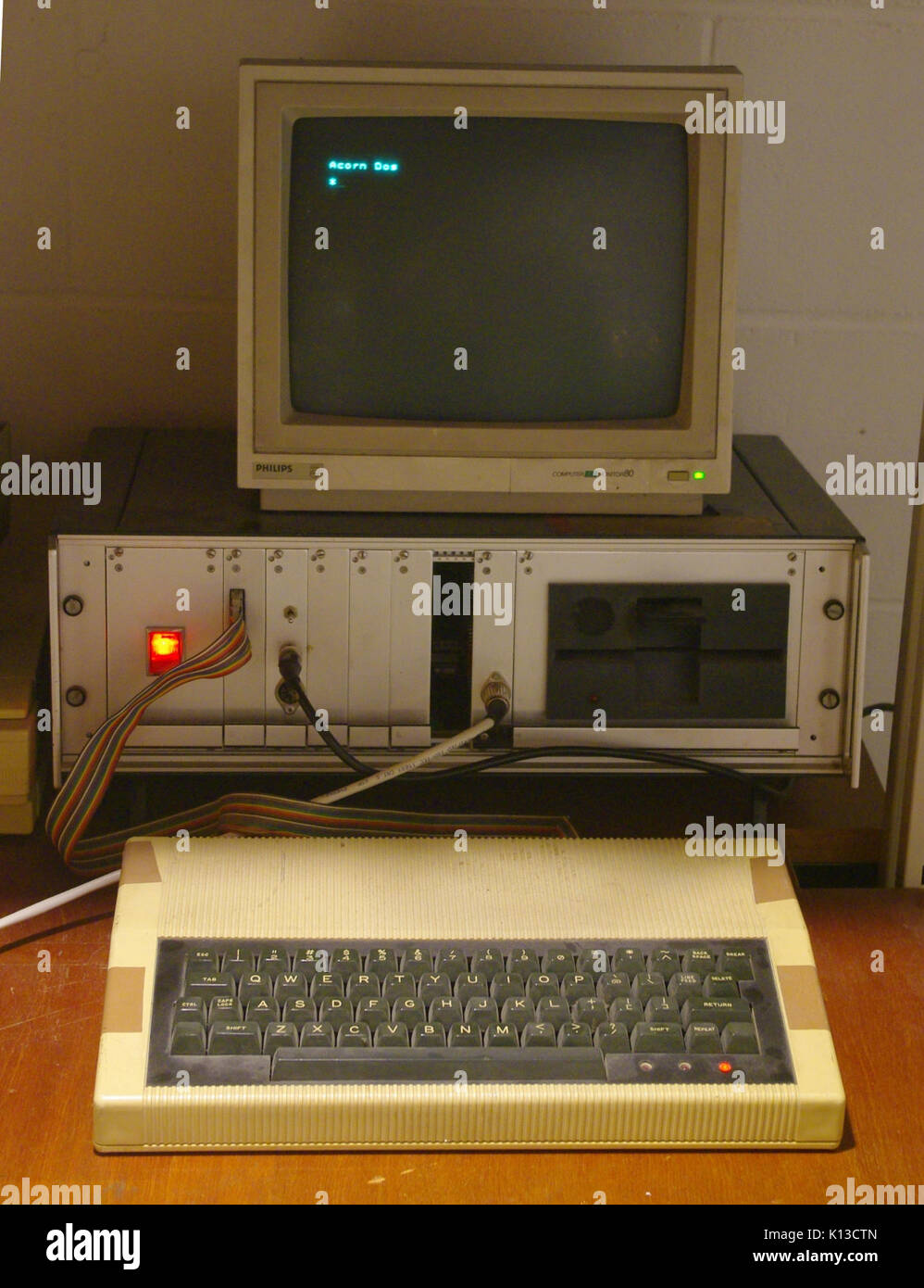 Acorn illustration hi-res stock photography and images - Alamy