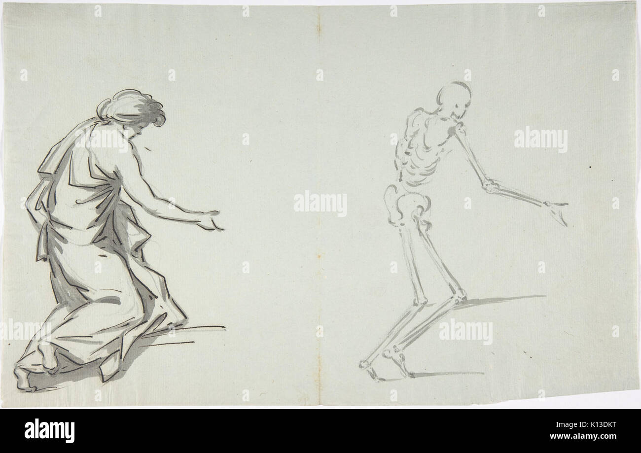 Anatomical drawing hi-res stock photography and images - Alamy