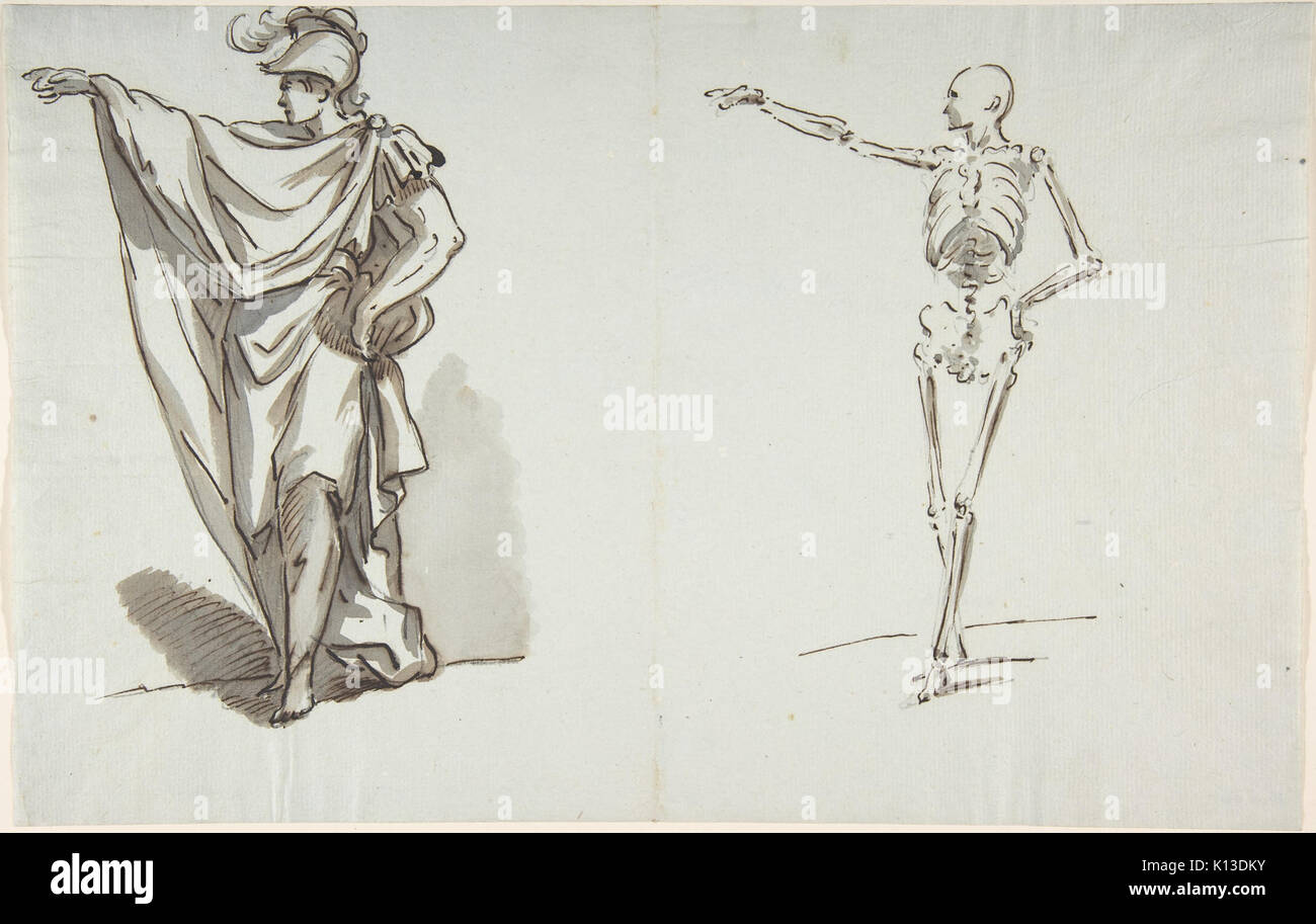 Anatomical drawing hi-res stock photography and images - Alamy