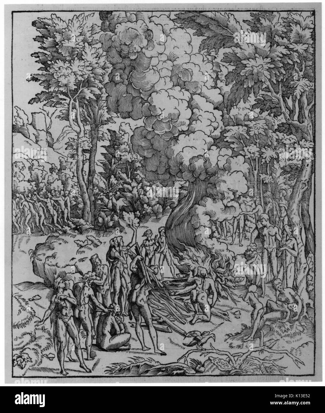 Pollion Black and White Stock Photos & Images - Alamy