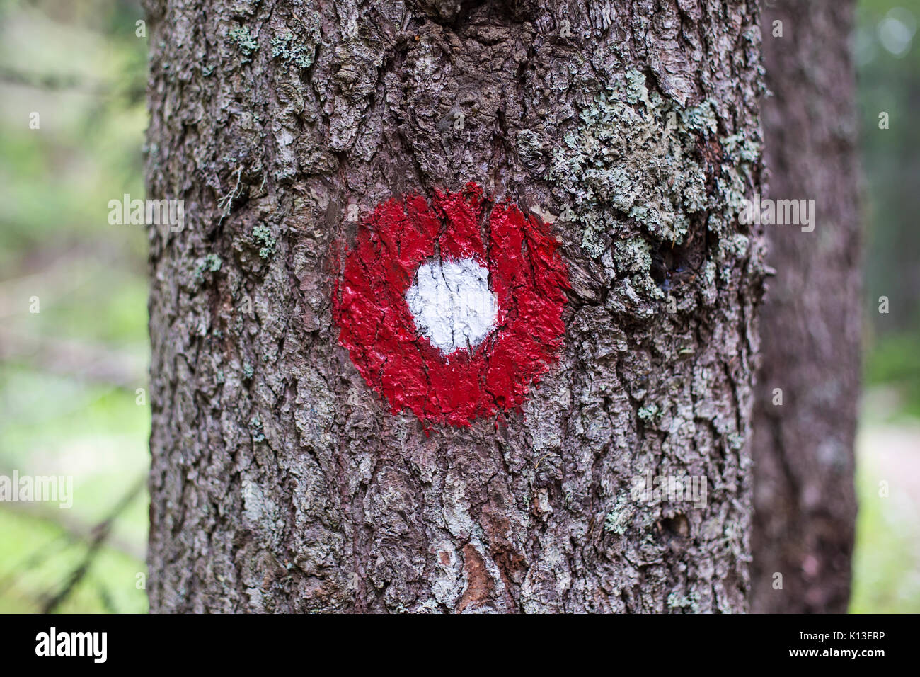 Red and white circle trail blazing sign in the forest Stock Photo - Alamy