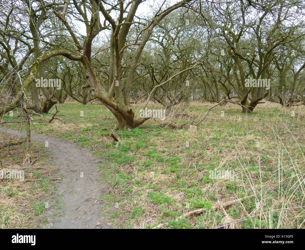 Boomgaard hi-res stock photography and images - Alamy