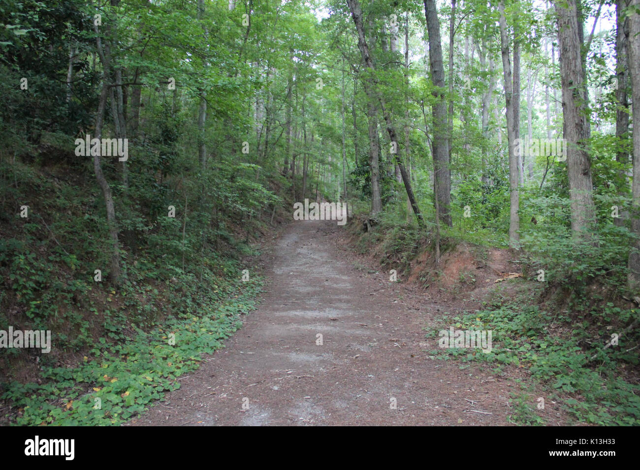 Allatoona Pass Battlefield wagon trail, August 2017 Stock Photo - Alamy