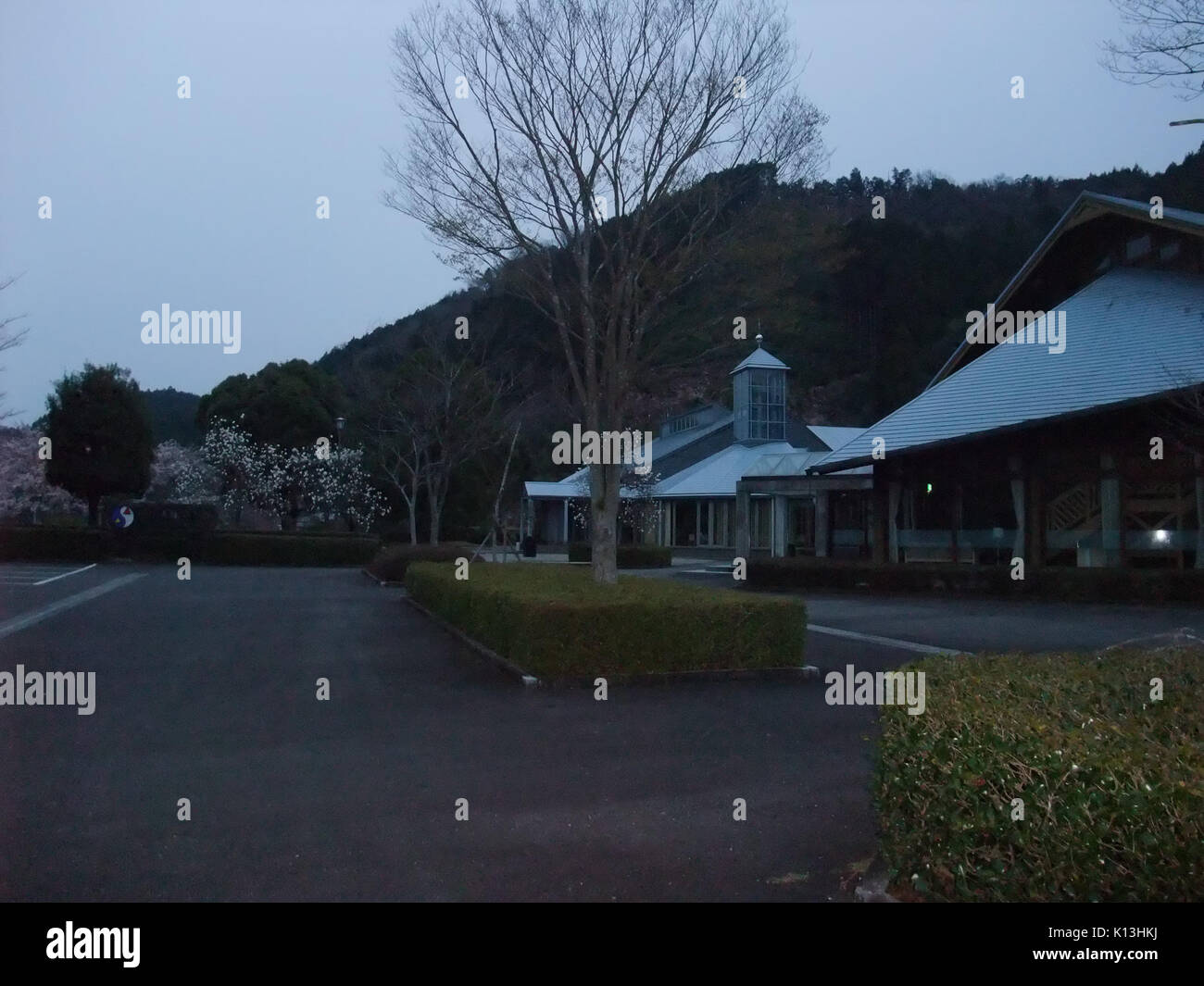 Shinrin hi-res stock photography and images - Alamy