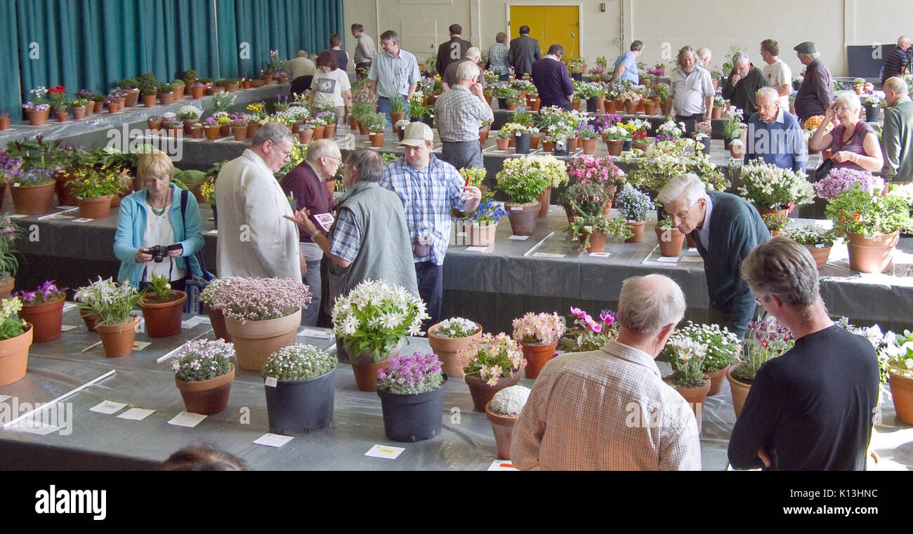 Regional horticultural show hi-res stock photography and images - Alamy