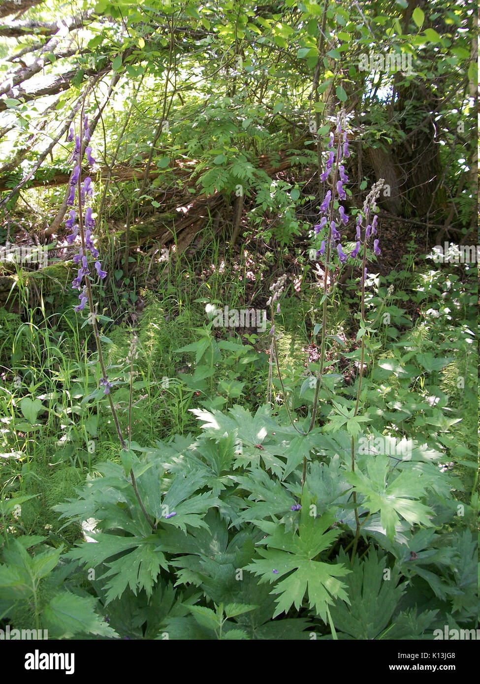 Toxicity risks hi-res stock photography and images - Alamy