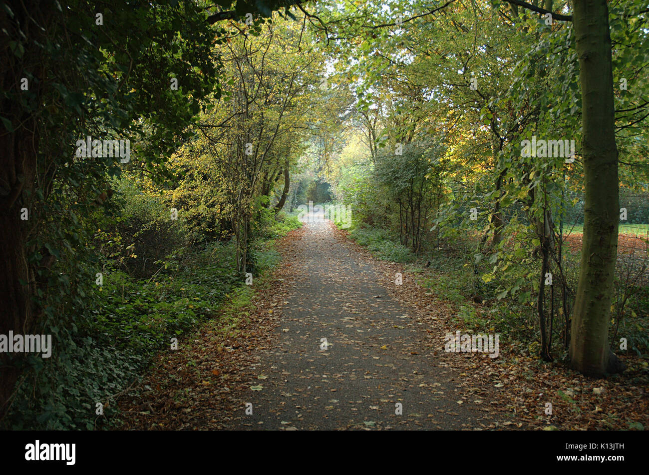 Alban way hi-res stock photography and images - Alamy