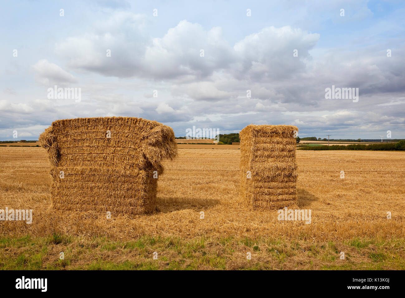 two square bales at harvest time in a golden wheat stubble field with ...