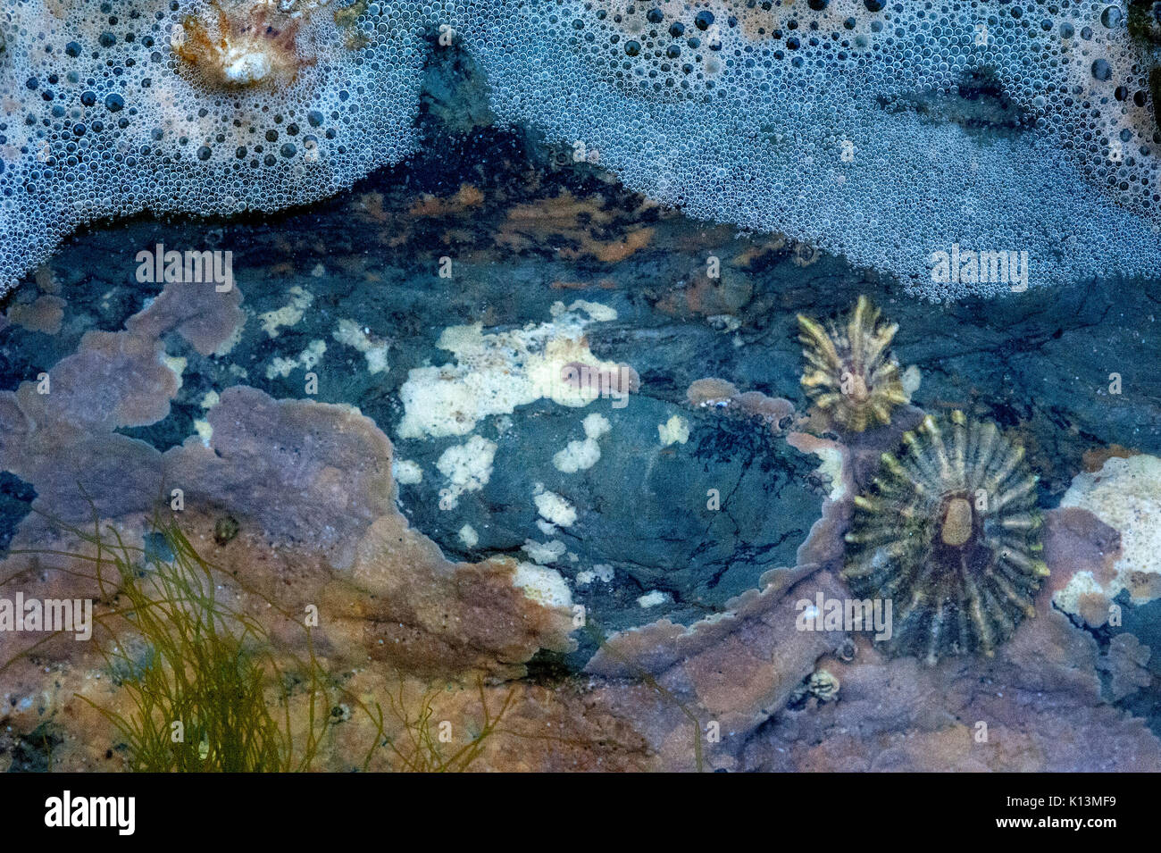 Abstract seashore rocks hi-res stock photography and images - Alamy