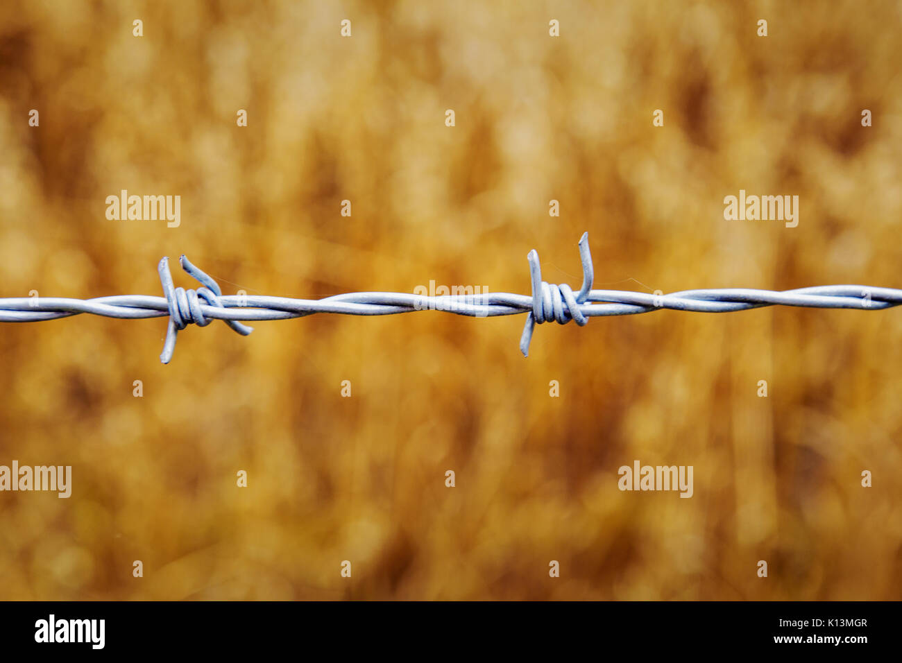 Single strand of barbed wire centrally in the landscape format frame ...