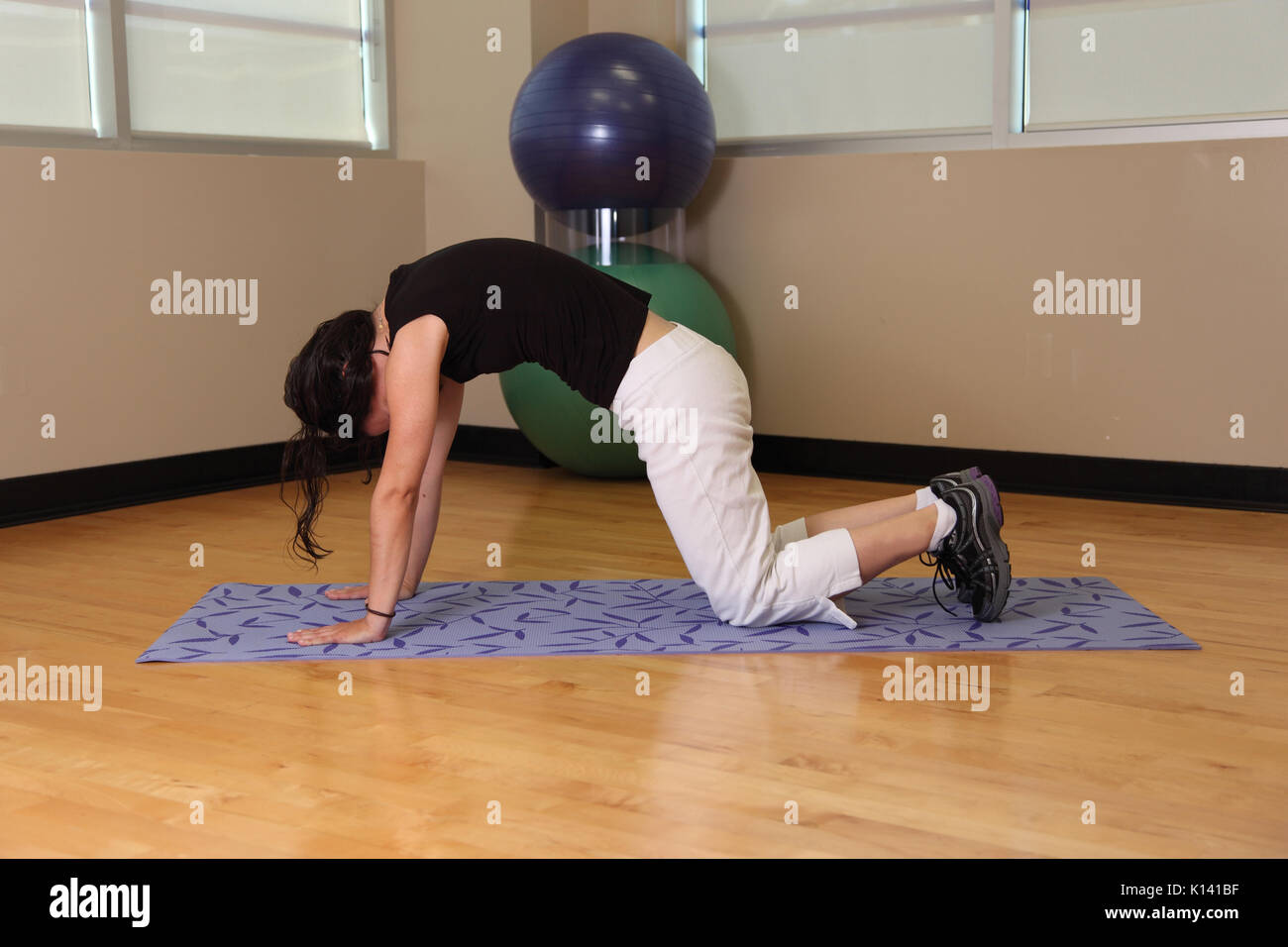 Cat cow stretch hi-res stock photography and images - Alamy