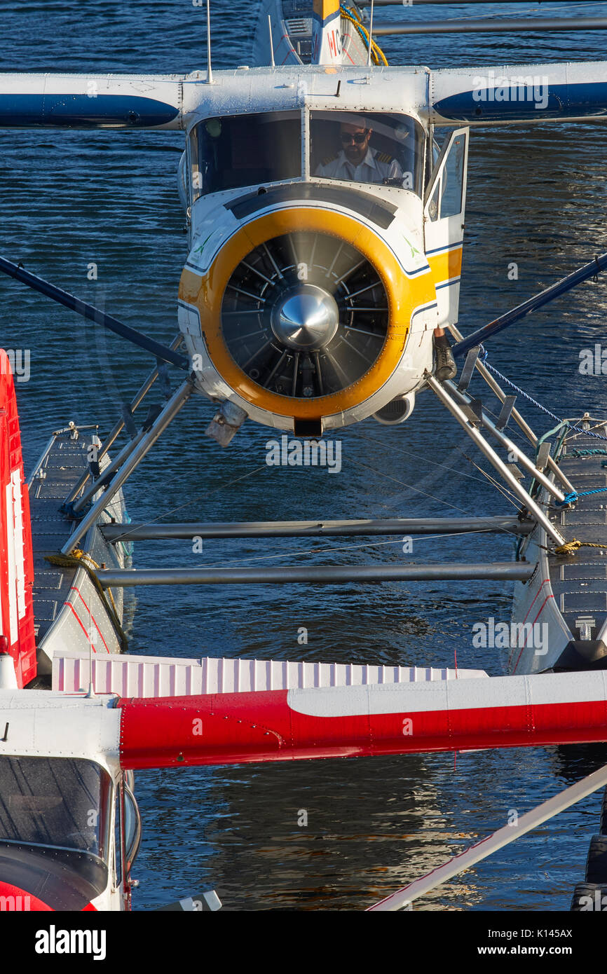 Pilot Sitting In A Vintage de Havilland Canada Beaver Floatplane With ...