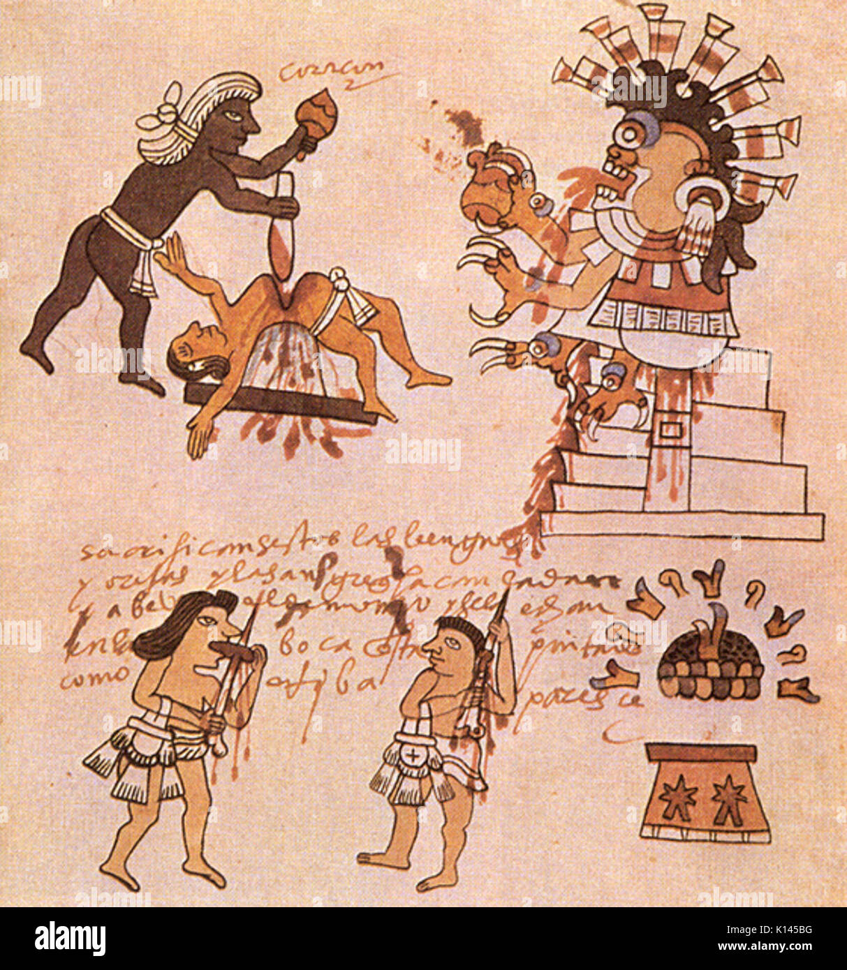 Bloodletting Stock Photos & Bloodletting Stock Images - Alamy