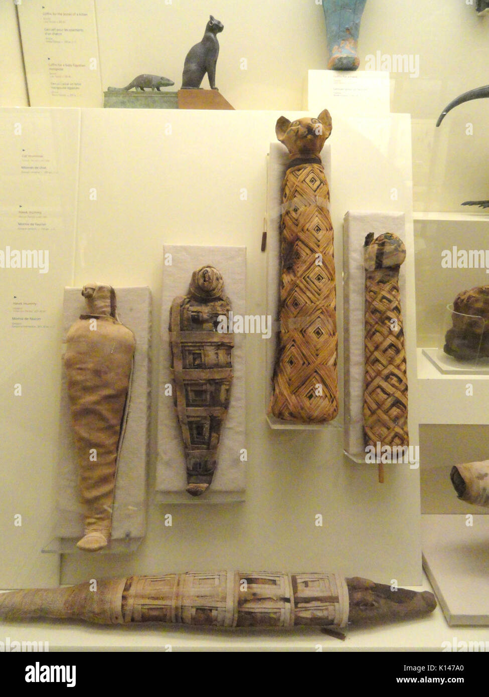 Mummies egypt hi-res stock photography and images - Alamy