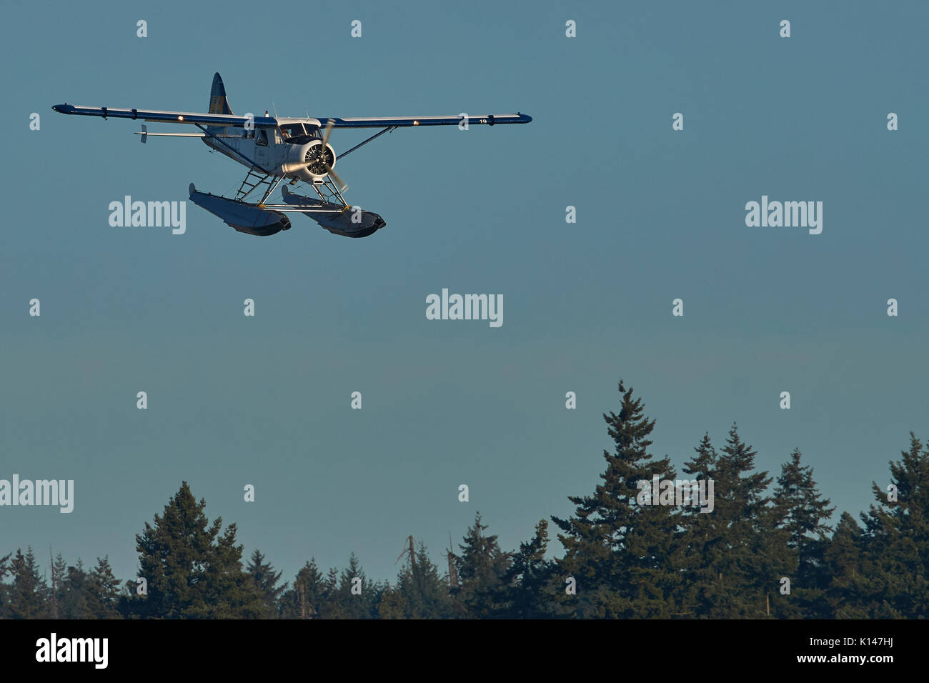 De havilland beaver float plane hi-res stock photography and images - Alamy