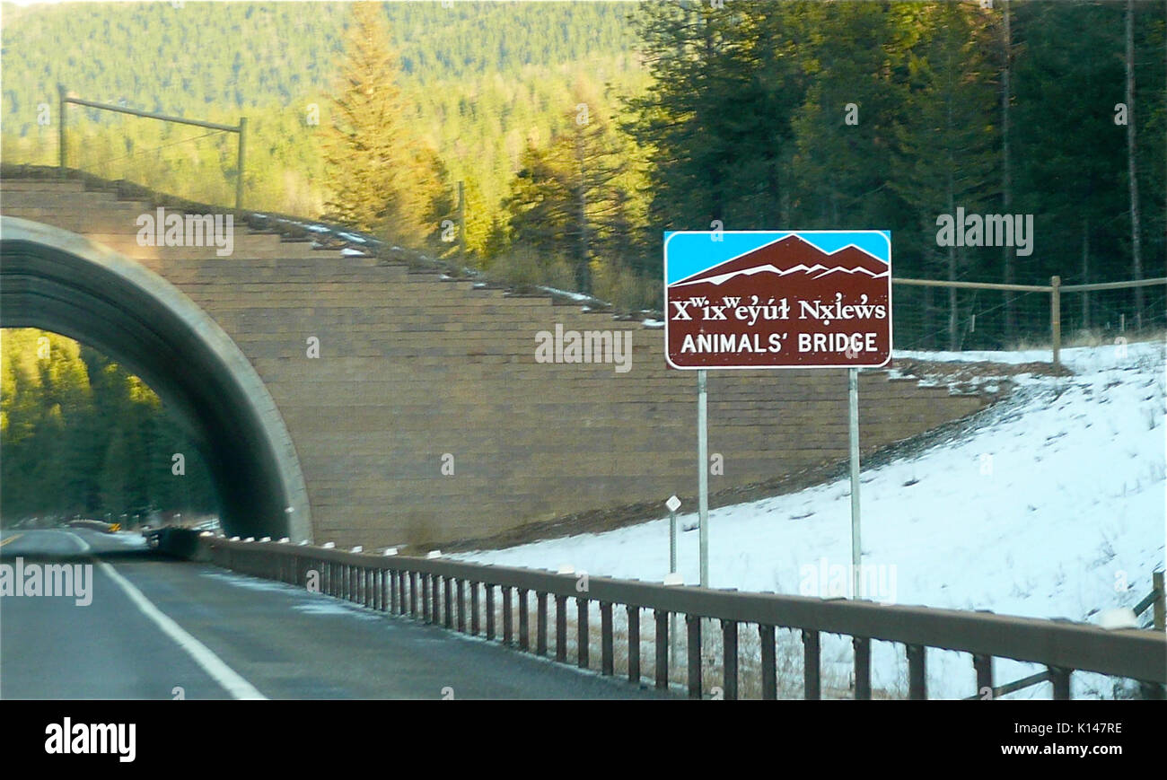 Map of flathead hi-res stock photography and images - Alamy