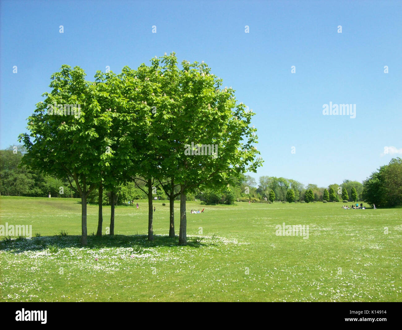 Alexandra park in spring hi-res stock photography and images - Alamy
