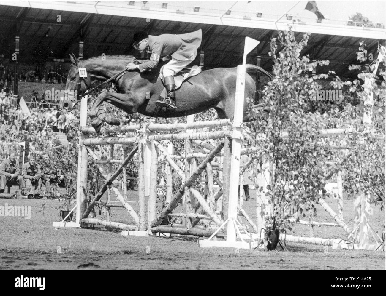 Olympic Games, Stockholm, 1956 Frank Chapot (USA) riding Belair Stock ...